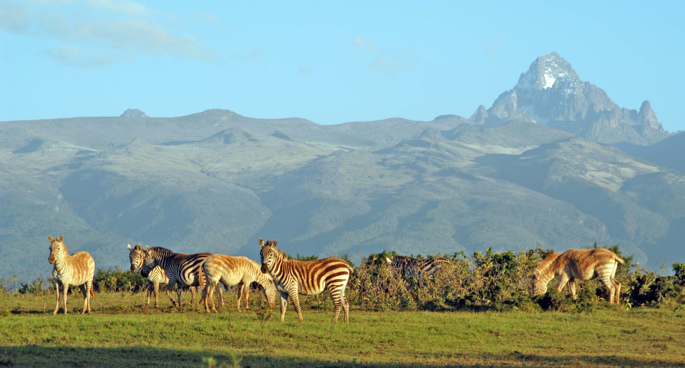 Masai Mara Safaris Provider Masai Mara Affordable Safari Visit Us Now Masai Mara Safaris Provider Masai Mara Affordable Safari Visit Us Now